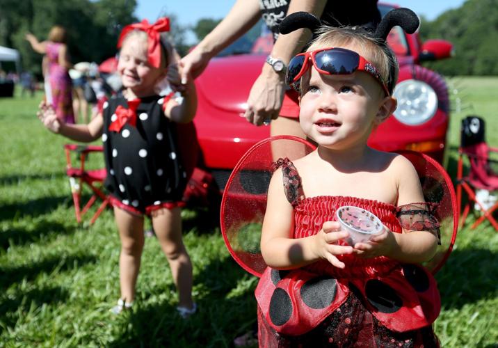 Don't miss the 10th annual Ladybug Day at Magnolia Plantation & Gardens