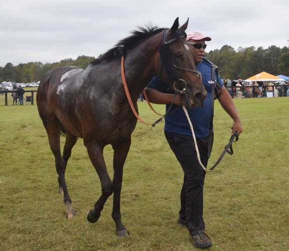 Topic Changer returns to Aiken to seek more glory in Aiken Spring ...