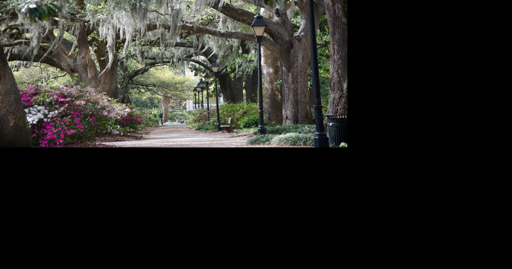 Springtime in Savannah: A guide to a perfect getaway in the Hostess City