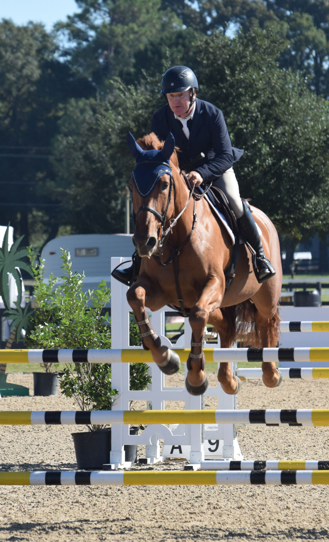 Equine events at Bruce's Field have positive impact on Aiken | Local ...