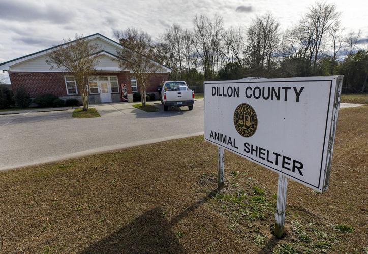 SLED investigates Dillon Animal Shelter for cruelty after former ...