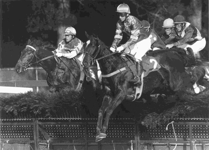 Aiken Spring Steeplechase continues Aiken Triple Crown