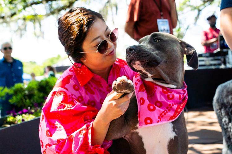 Fido Fest fun | | postandcourier.com