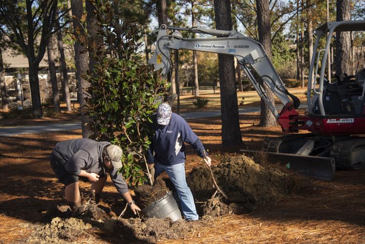 Education Notebook: USC Aiken plants trees in honor of class of 2018