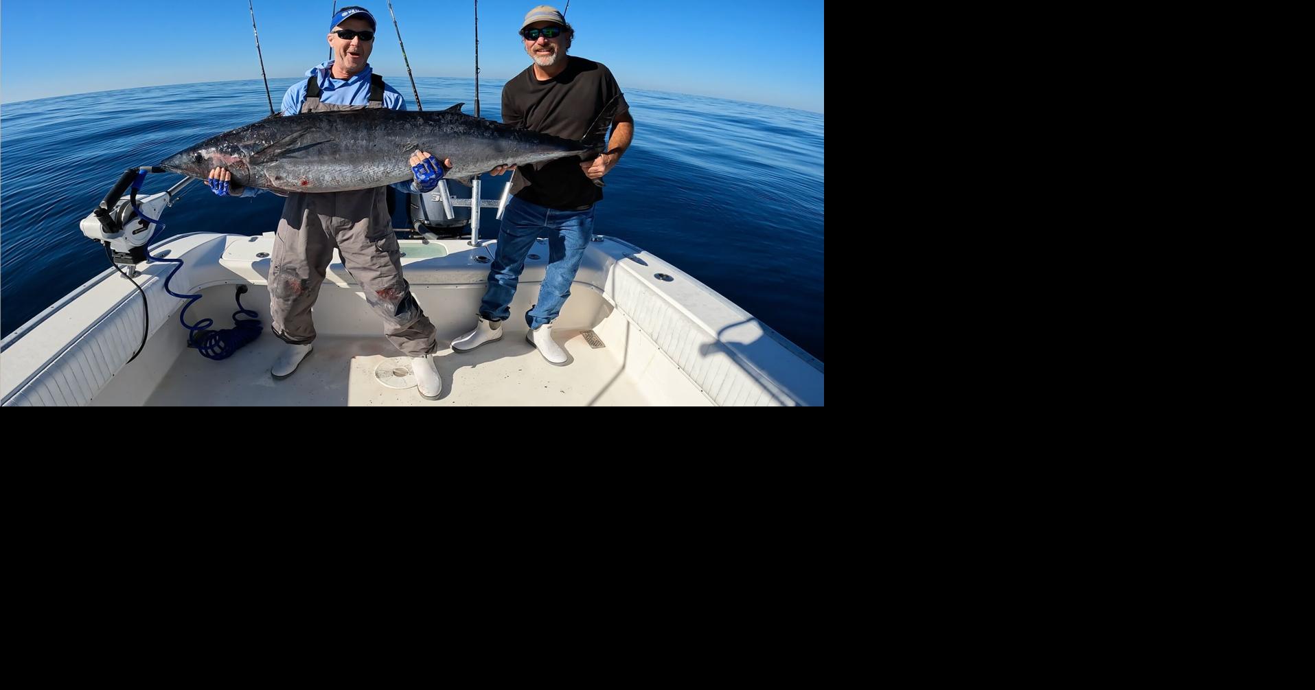 High speeding in chase of trophy wahoo