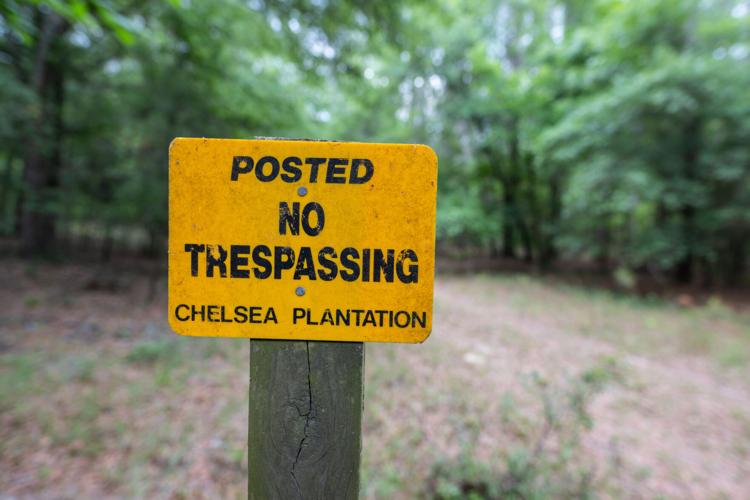 Photos: 2,700 acres of former Chelsea Plantation preserved