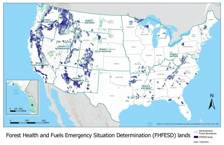 Trump administration to increase logging in Francis Marion