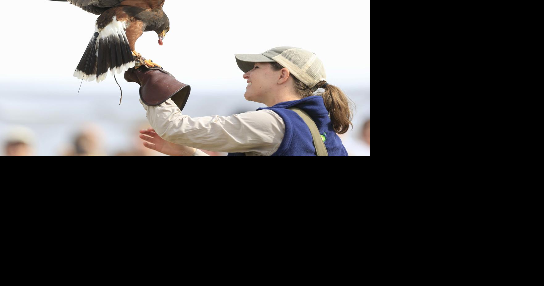 Animals are the stars of the Southeastern Wildlife Exposition. Here's ...