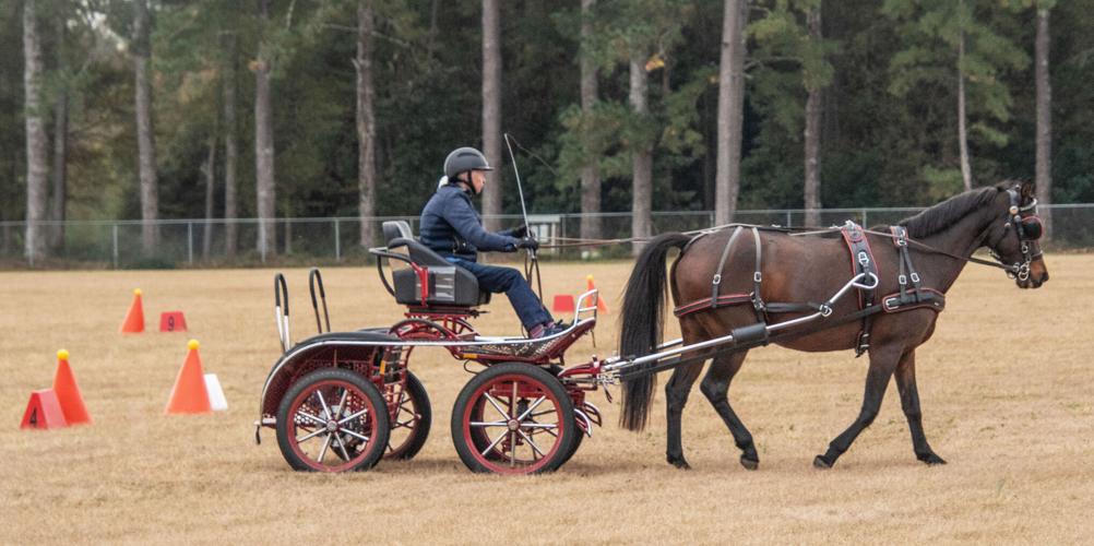 American Driving Society holds annual meeting in Aiken