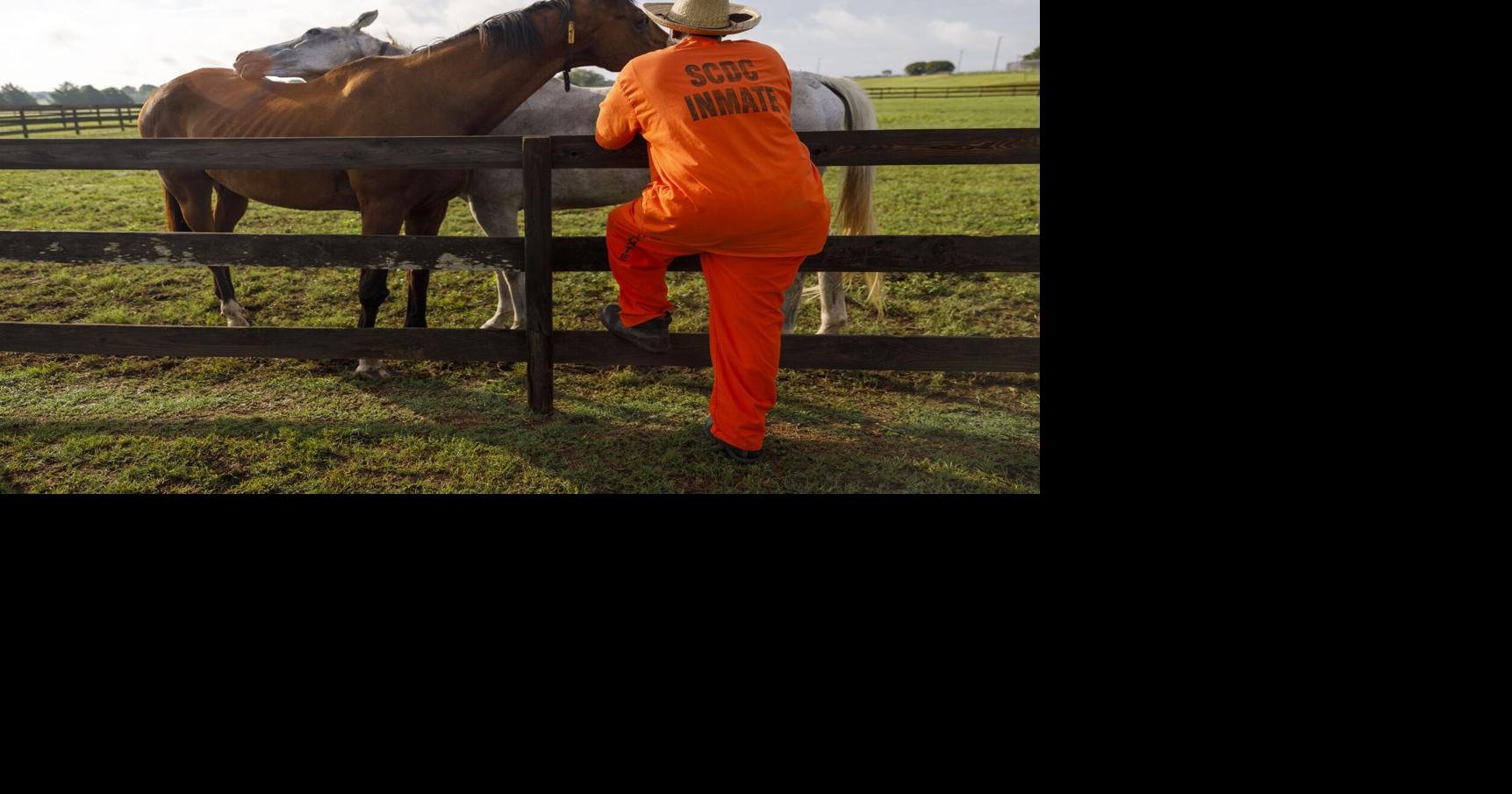 Inside the horse program at Wateree prison in Sumter County