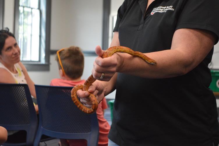 Savannah River Ecology Lab hosts animal encounter in Aiken