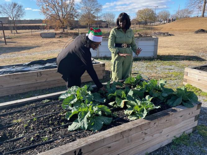 Mary H. Wright Elementary School has garden for students
