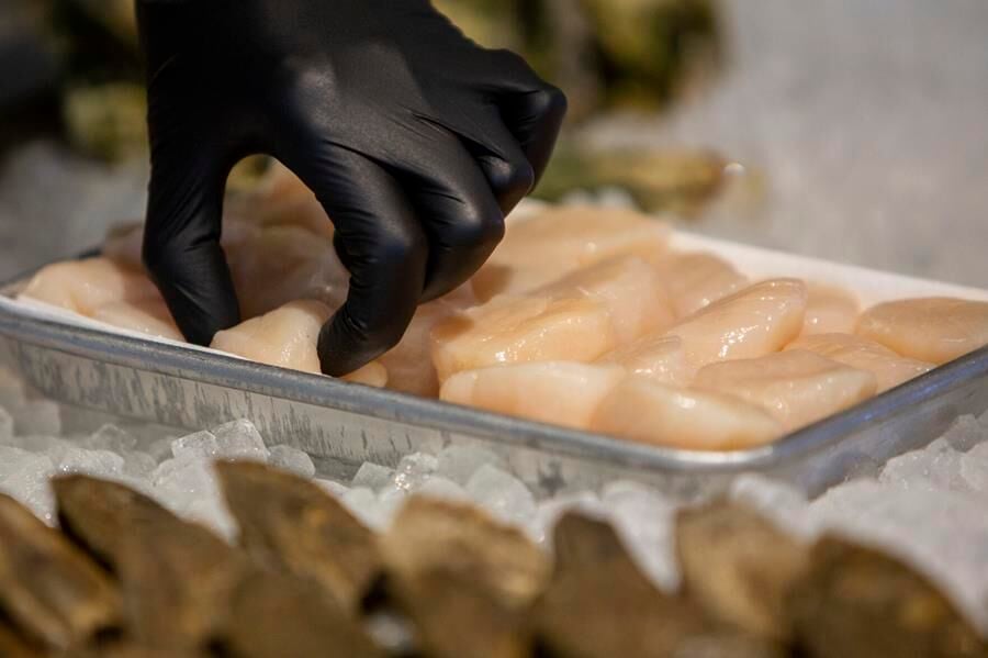 Where to find fresh fish in the Charleston area