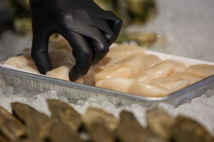 Where to find fresh fish in the Charleston area