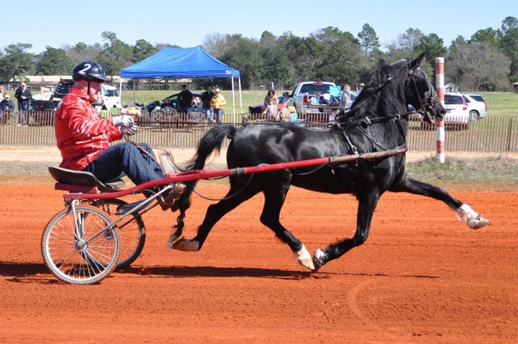 McGhees' Mile Harness Race set to return March 7 in Aiken