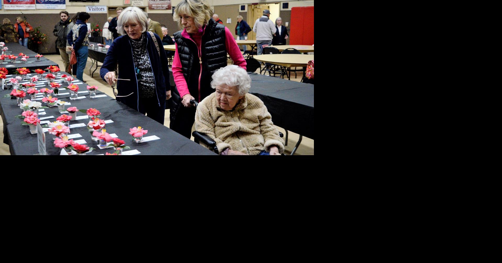 Annual Aiken Camellia Show brings color to a part of downtown Aiken