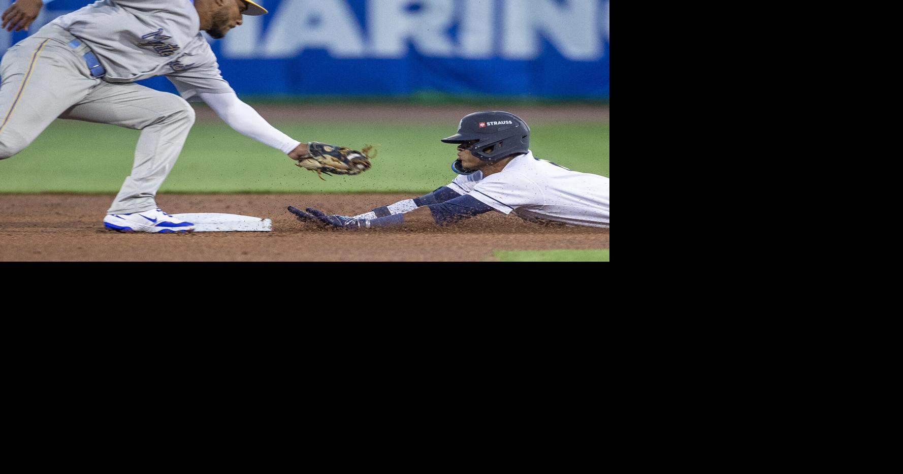 Charleston RiverDogs baseball season opener against Pelicans