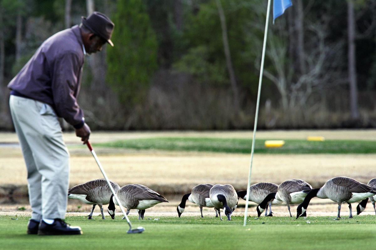 Photos of 2011 by Wade Spees | News | postandcourier.com