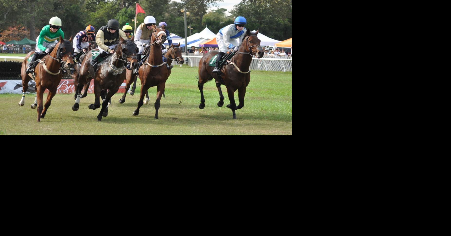 Fall Steeplechase brings social life and sports together | News ...