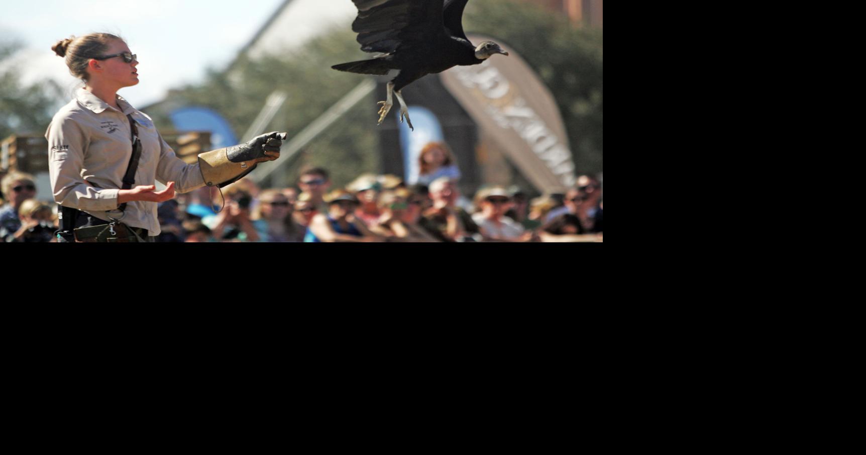 SEWE Event Schedule | Southeastern Wildlife Expo | postandcourier.com