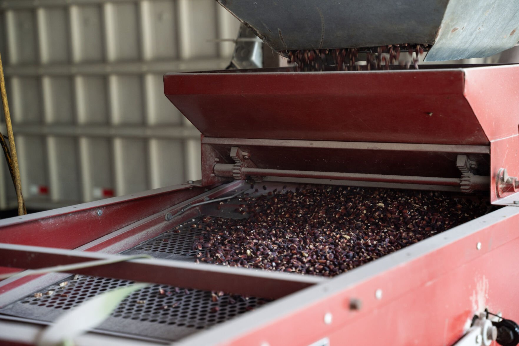 High Wire Distilling makes whiskey with an heirloom SC corn