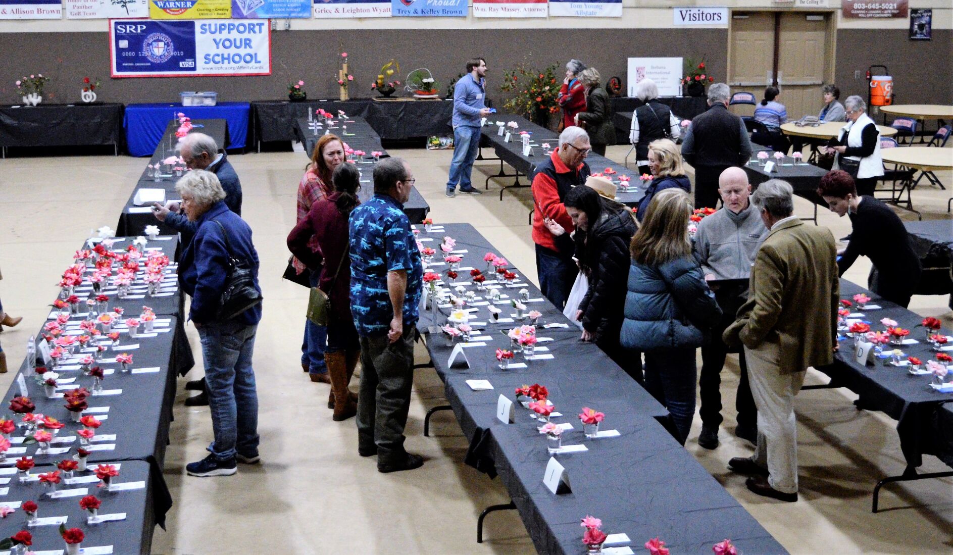 Annual Aiken Camellia Show brings color to a part of downtown Aiken