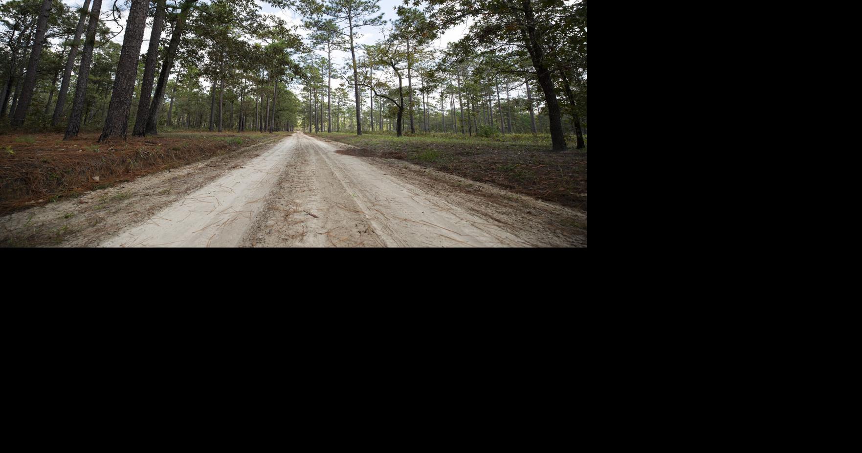 Clements Ferry Road, from Native American path and Revolutionary route ...