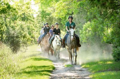 Equestrian lovers can explore Middleton Place | | postandcourier.com