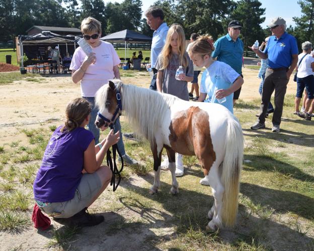 Equine Rescue of Aiken breaks ground for new rescue center at farm