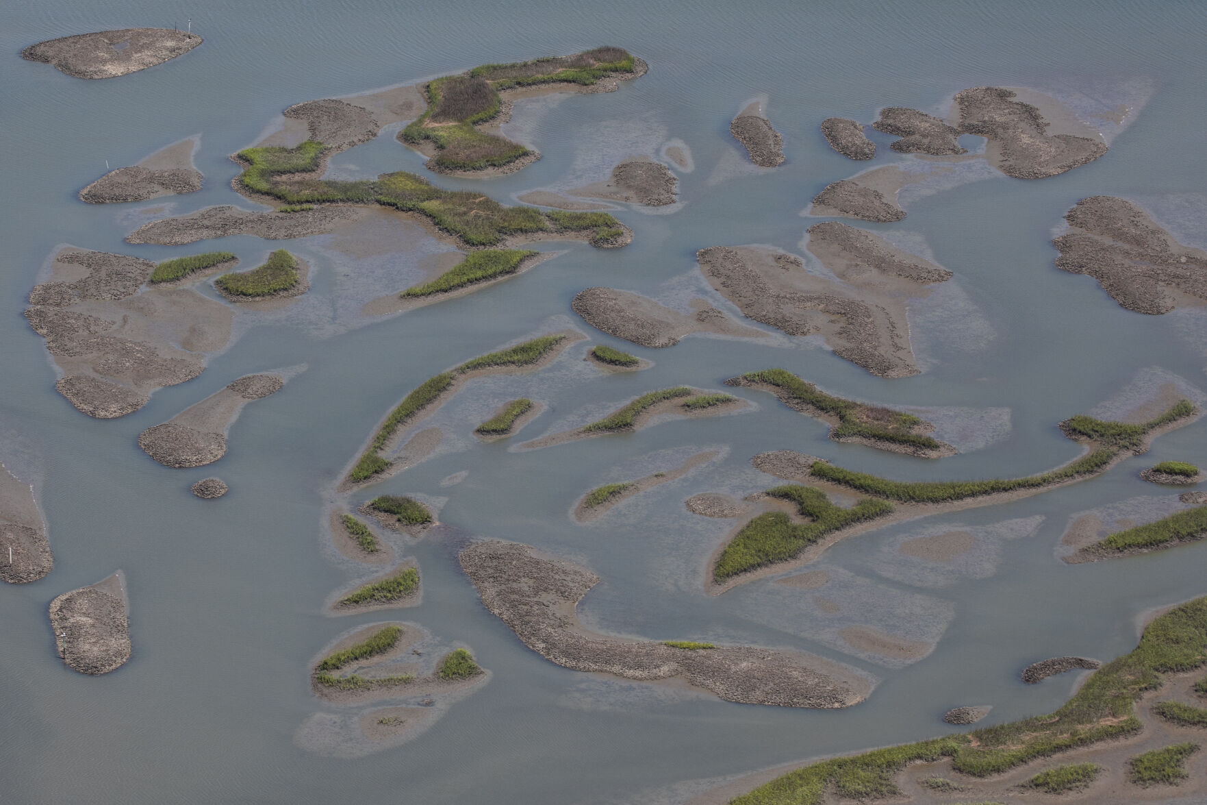 South Carolina's ACE Basin project marks 35th anniversary