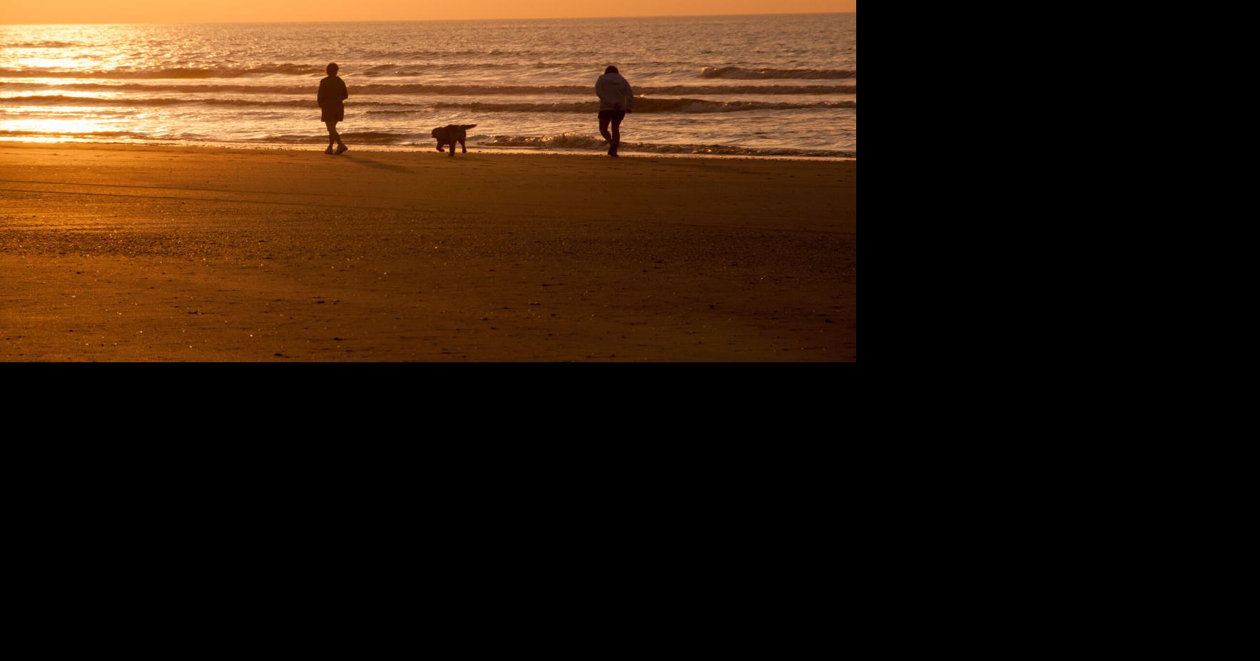 Isle of Palms: Sweet Life by the Sea | Business | postandcourier.com