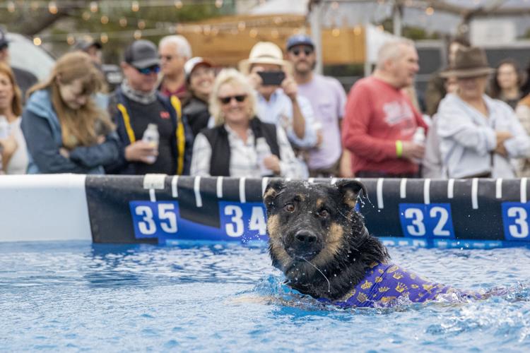 Photos: Dock Dogs at SEWE are back for 2022