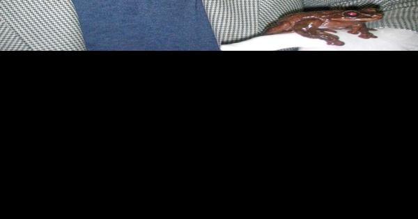 George Rabb a force for nature | News | postandcourier.com