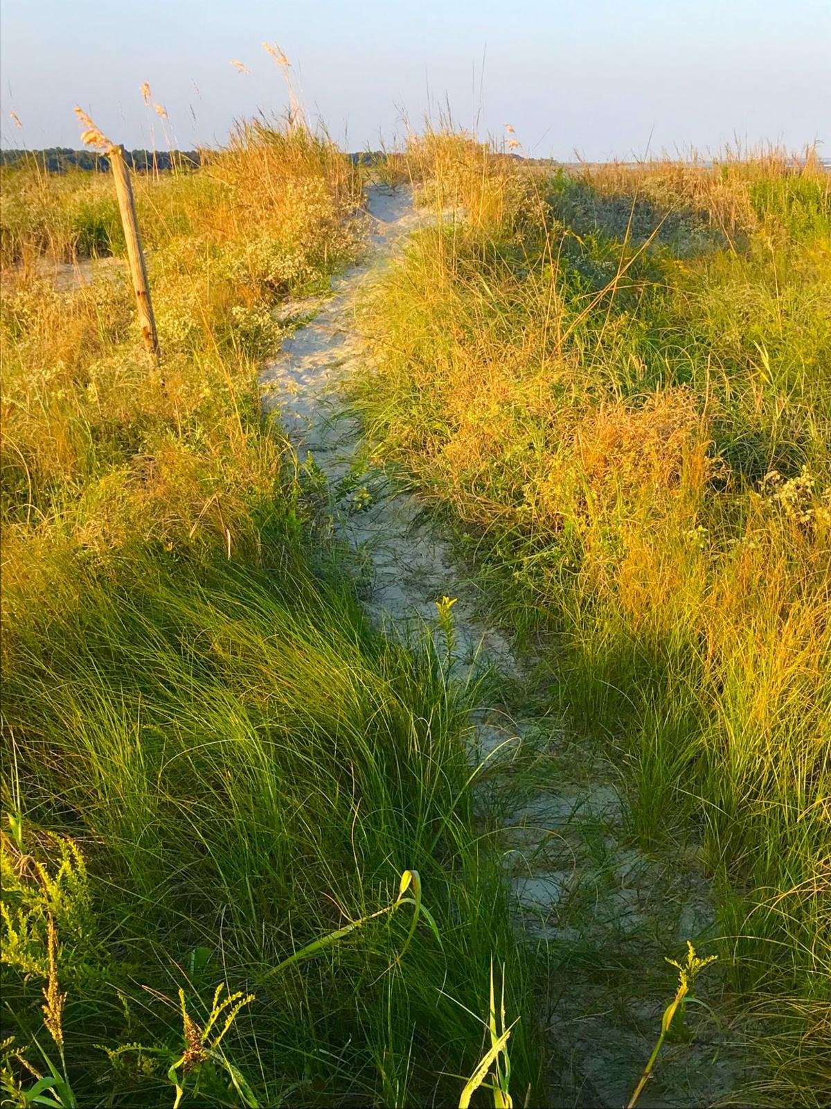 Reader photos: Oranges and yellows | Your Photos | postandcourier.com