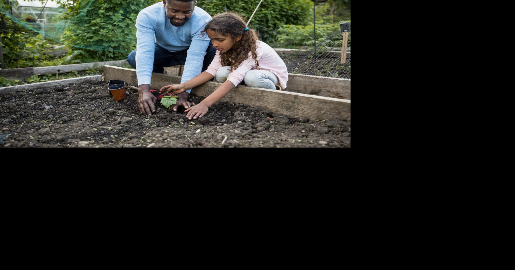 A Beginner's Guide to Self-Sustaining Living