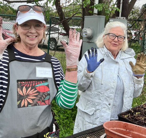 Aiken High FFA to hold plant sale starting Thursday