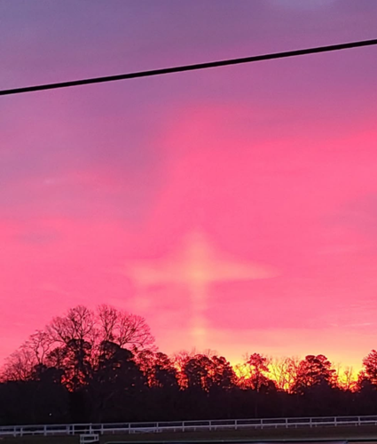 Exercise rider gets unique photo at Aiken Training Track