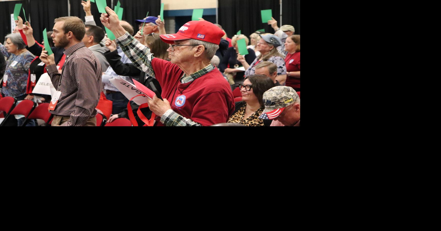 Inside the chaos of the Greenville County Republican Party
