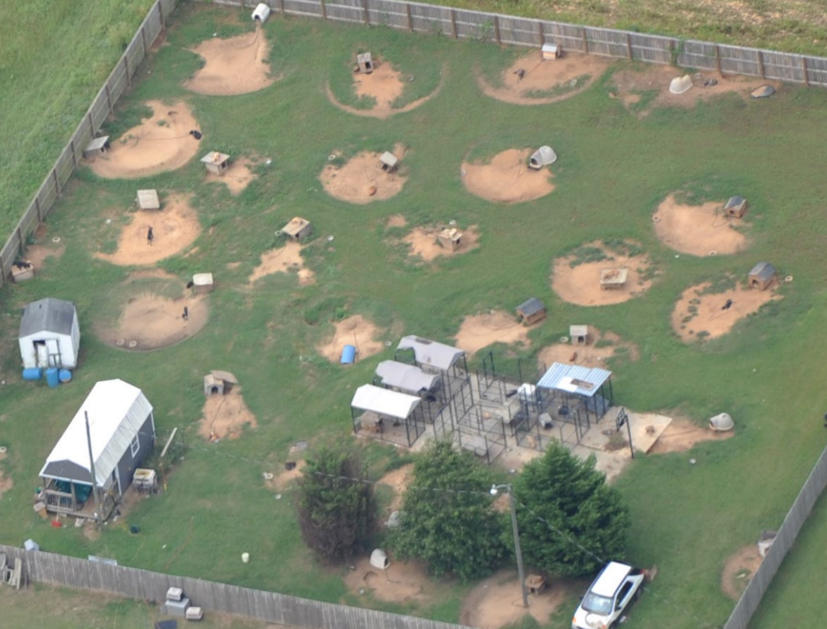 How South Carolina's largest dogfighting ring was taken down | Columbia ...