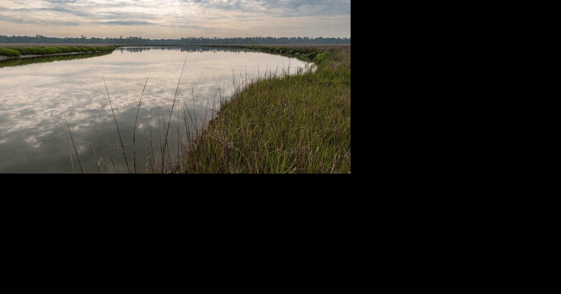 Photos: 2,700 acres of former Chelsea Plantation preserved