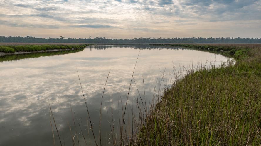 Photos: 2,700 acres of former Chelsea Plantation preserved