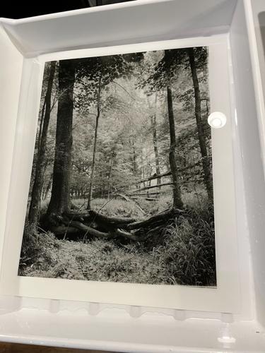 Augusta's Mark Albertin revives film photography, chronicles history ...