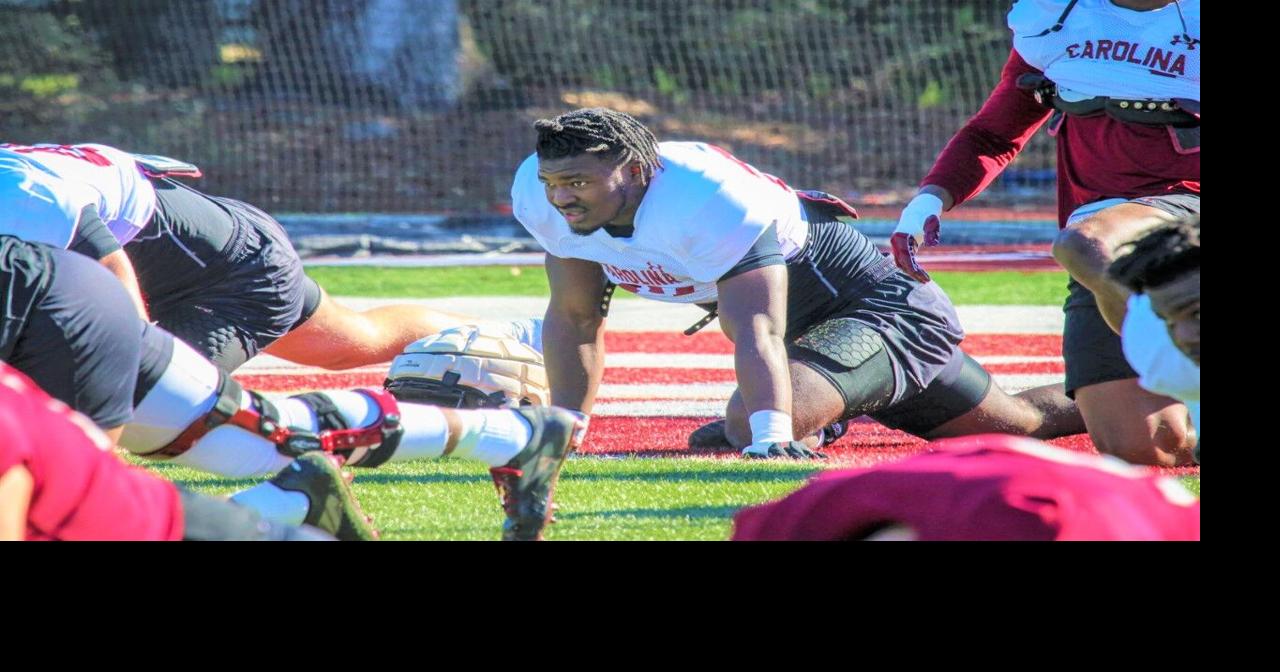 Gamecocks' linebacker 'Pup' Howard already making voice heard, on and ...