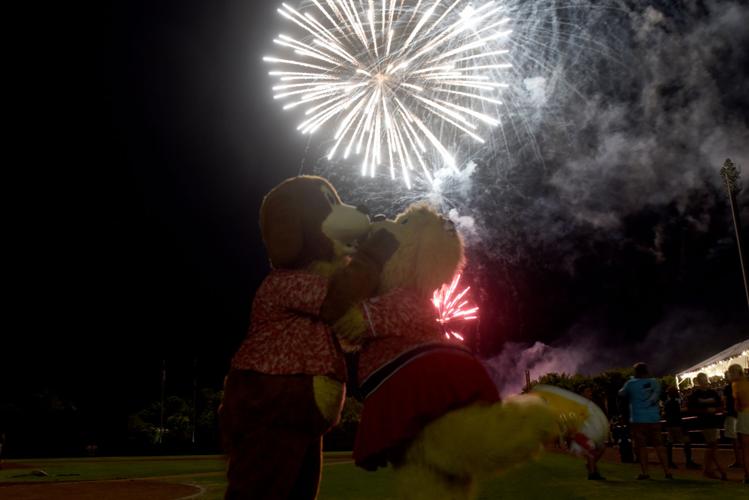 RiverDogs fans and fireworks