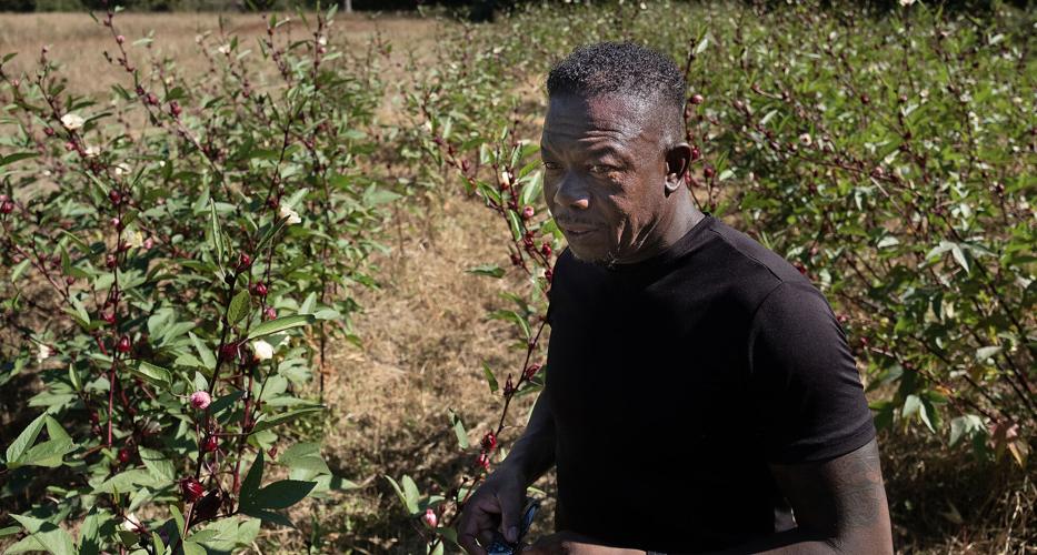 Highway may run through Black communities near Myrtle Beach