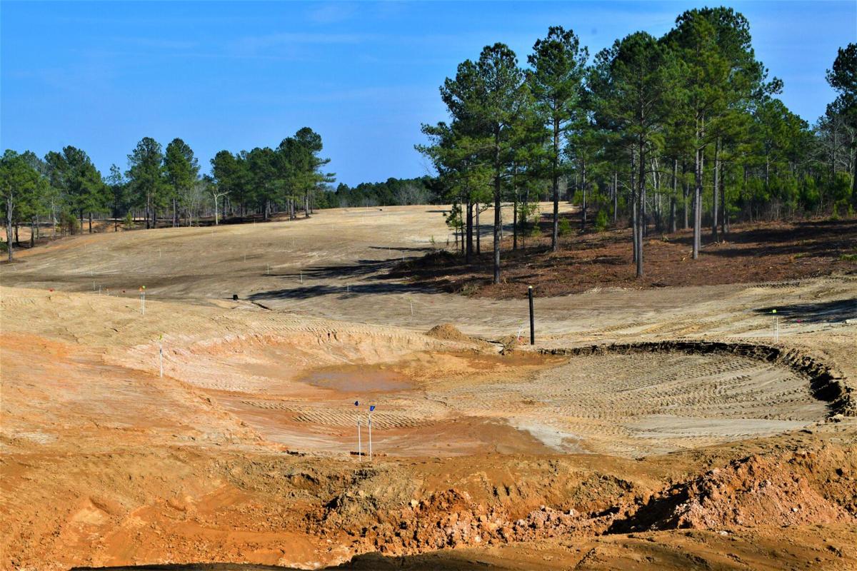 'A cool opportunity': The Tree Farm comes to life thanks to pro golfer ...