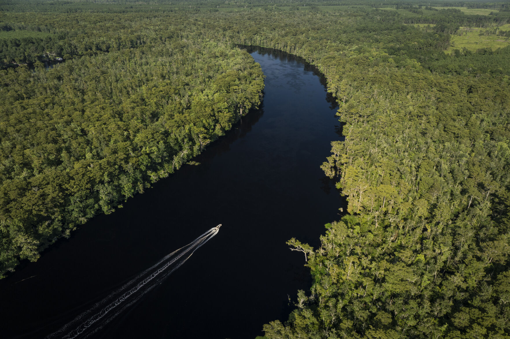 SC permanently protects 62,000 acres of wilderness