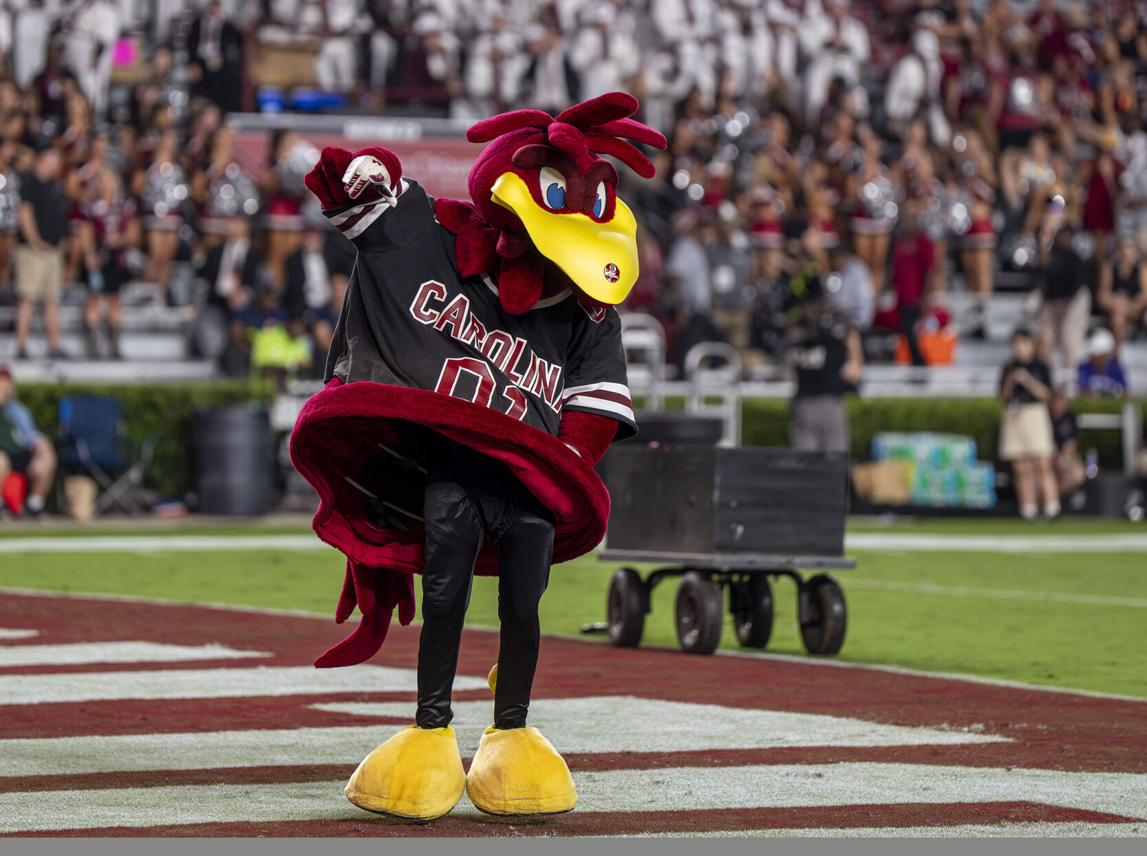 Gamecocks play first true road game at No. 23 Missouri