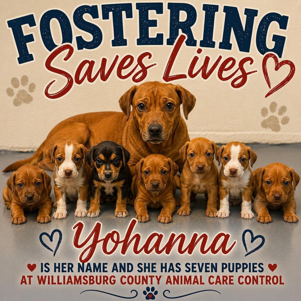 Furever Friend