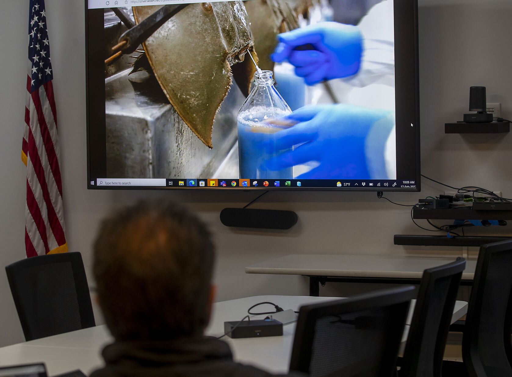 SC officials may privately allow lab company to harvest horseshoe crabs ...